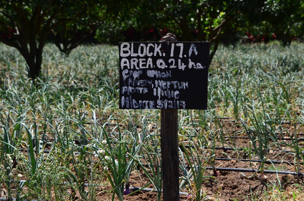 Farm/Out Growers | Fresh Approach Ltd